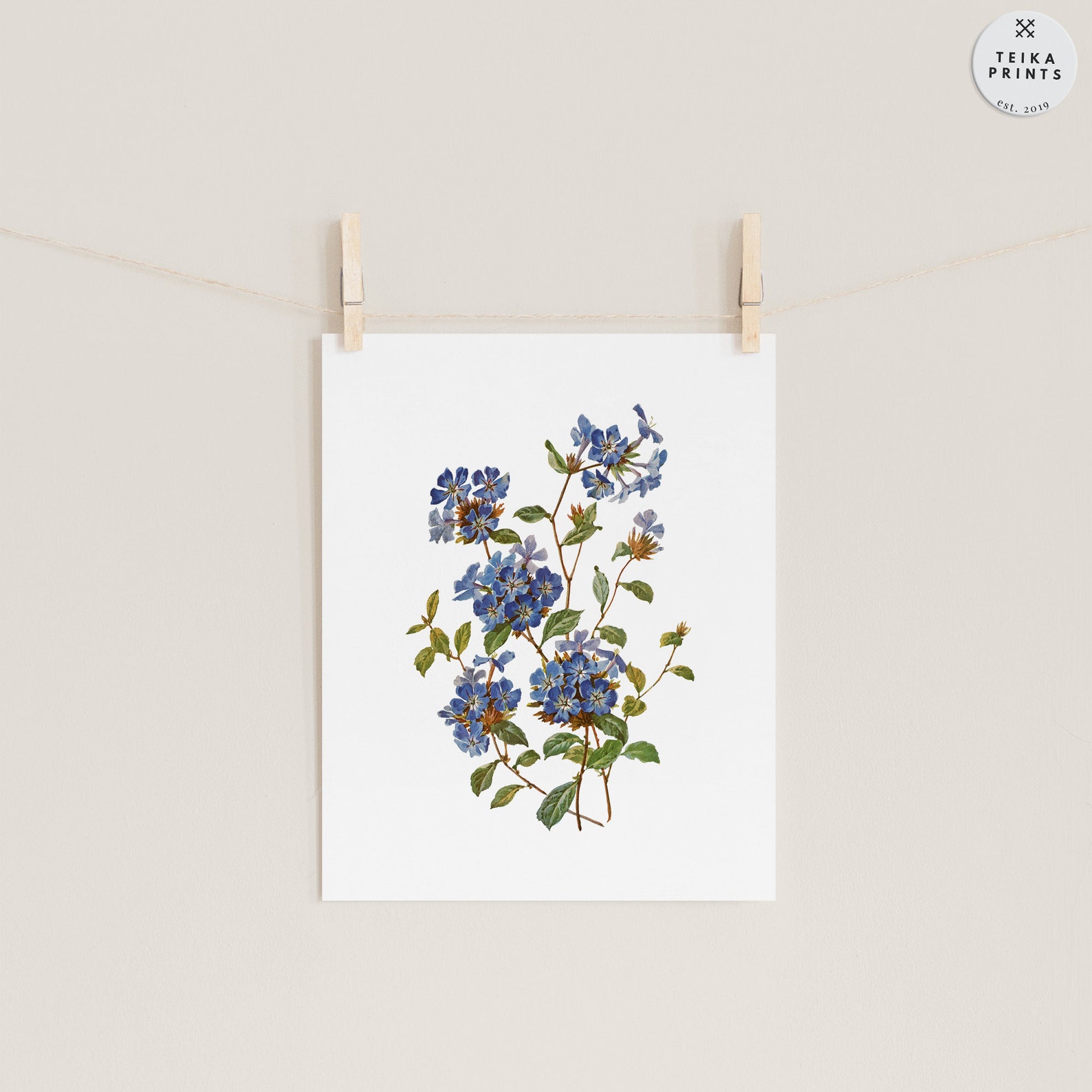 Vintage Blue Flowers Wall Art Prints Set of 6 / Botanical Floral Wall ...
