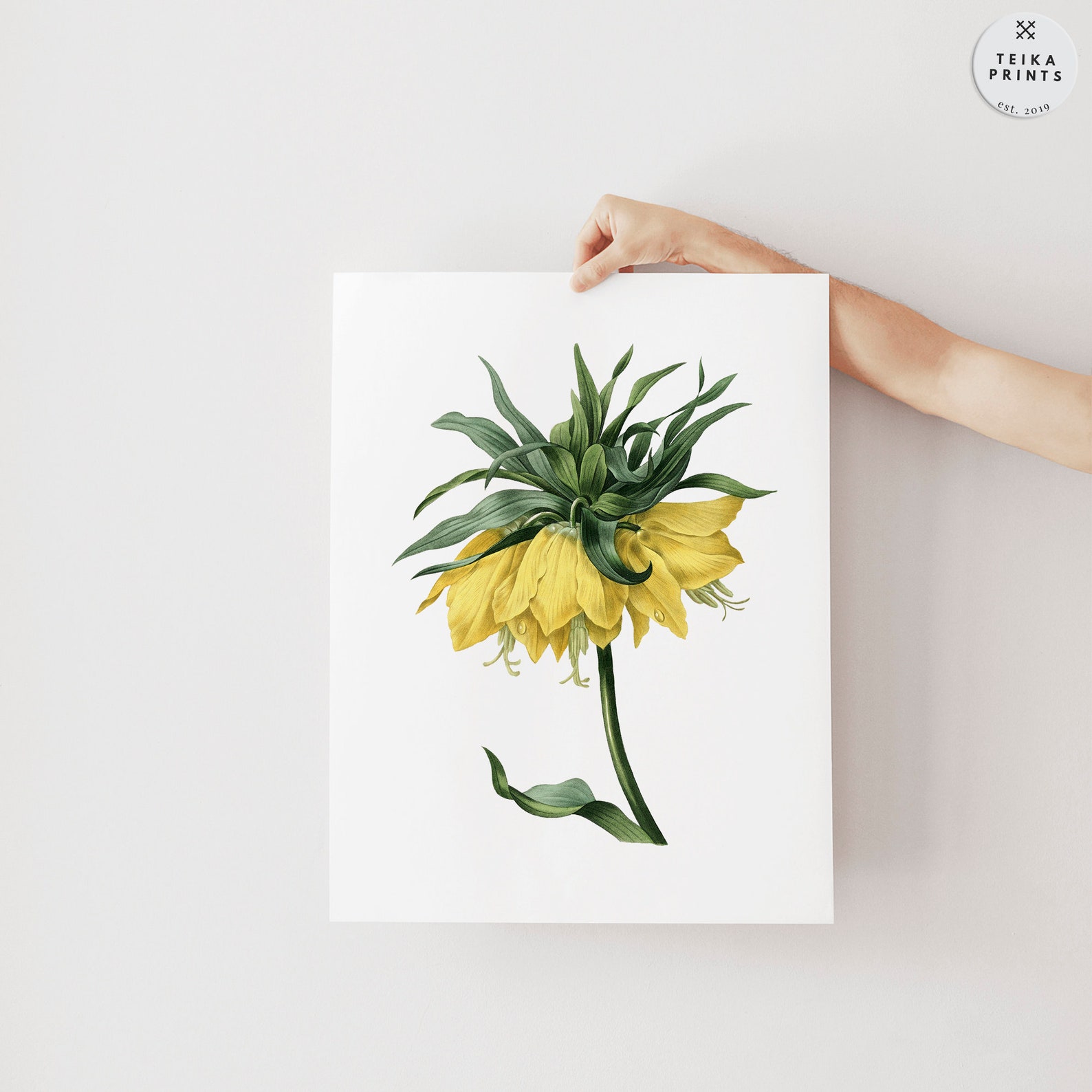 Vintage Yellow Flowers Wall Art Prints Set of 6 / Botanical - Etsy