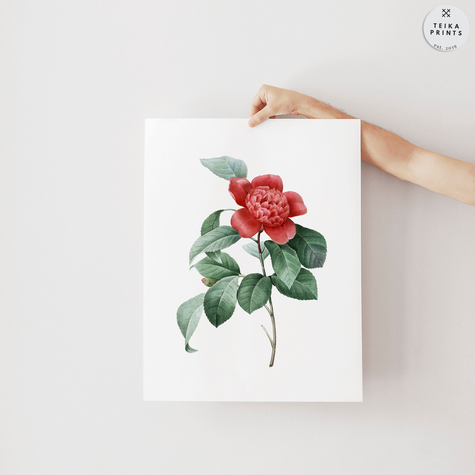 Vintage Red Flowers Wall Art Prints Set of 6 / Botanical | Etsy