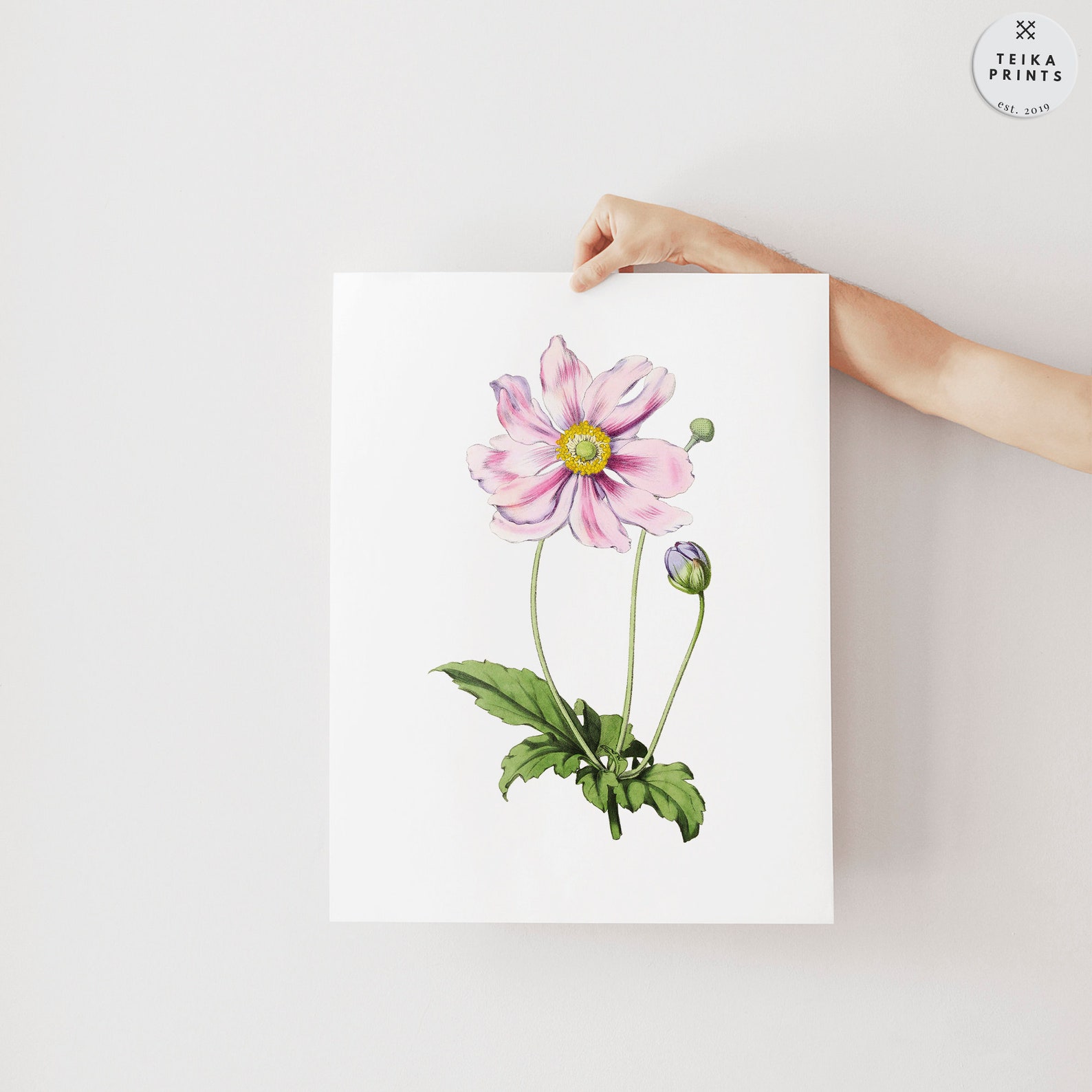 Vintage Pink Flowers Wall Art Prints Set of 6 / Botanical | Etsy