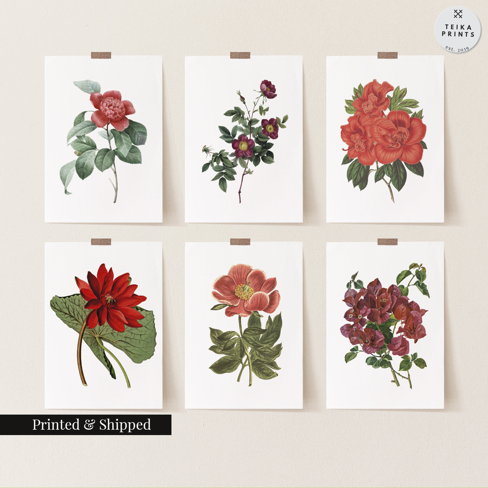 Vintage Red Flowers Wall Art Prints Set of 6 / Botanical | Etsy