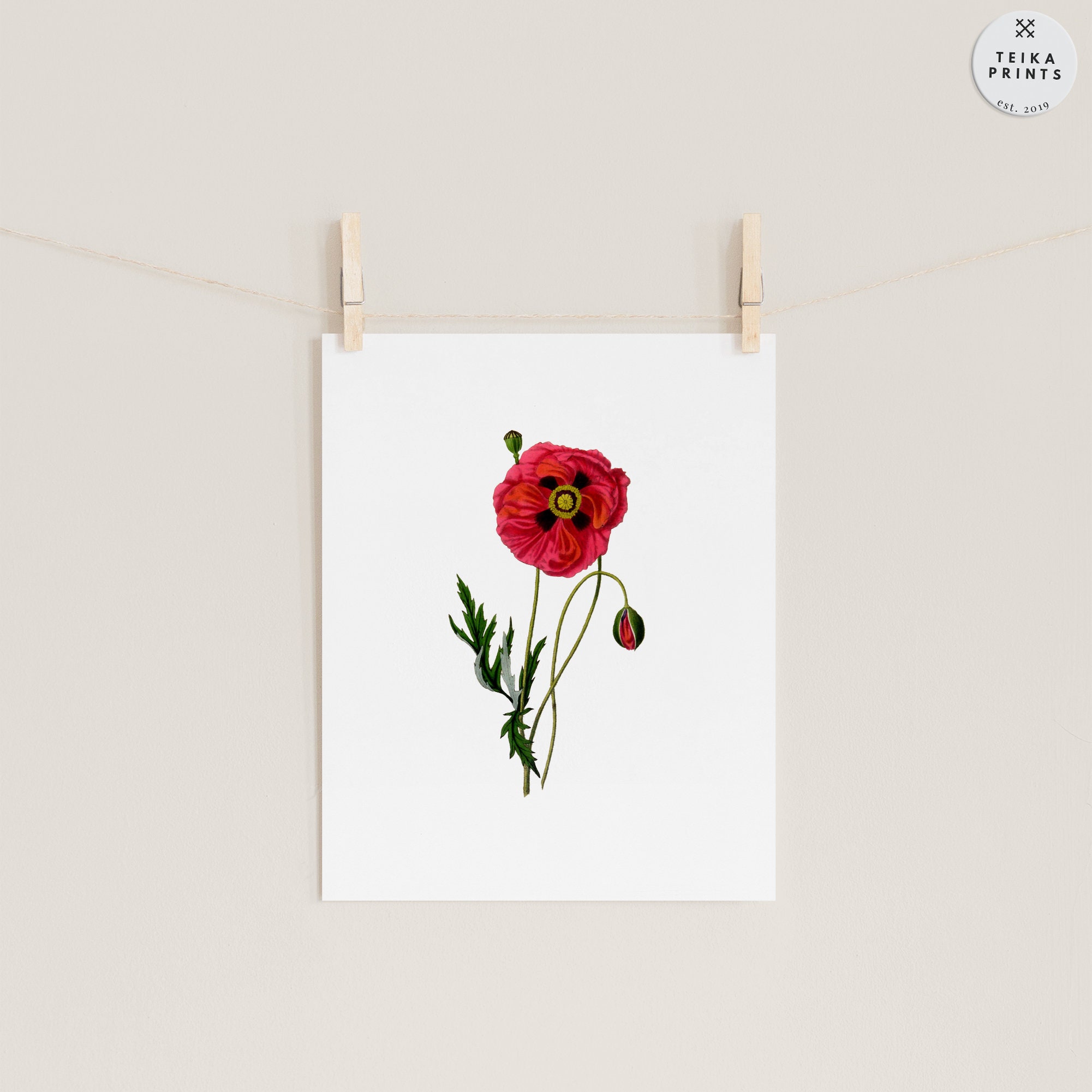 Vintage Poppy Flower Wall Art Prints Set of 3 / Botanical - Etsy