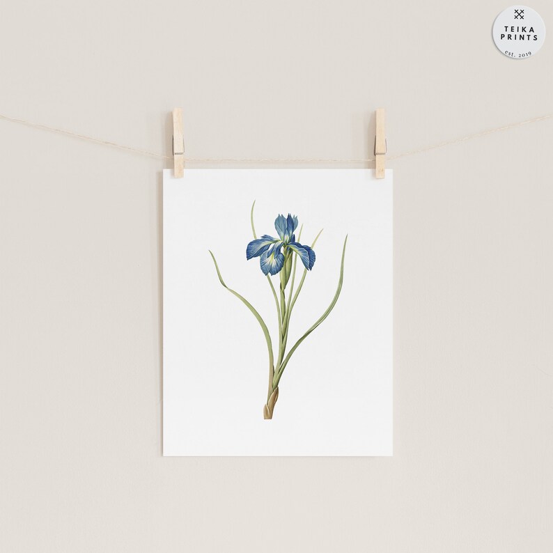 Vintage Blue Flowers Wall Art Prints Set of 6 / Botanical - Etsy