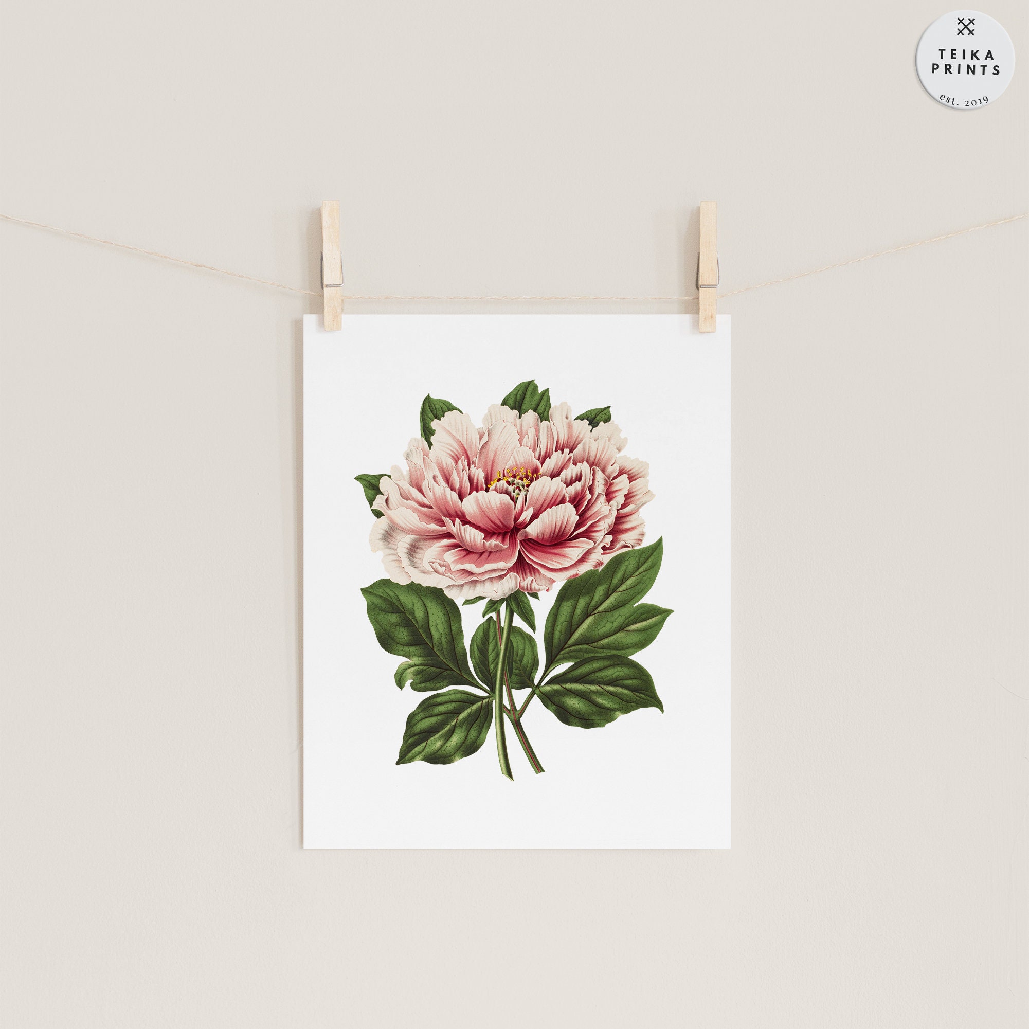 Vintage Pink Flowers Wall Art Prints Set of 6 / Botanical | Etsy