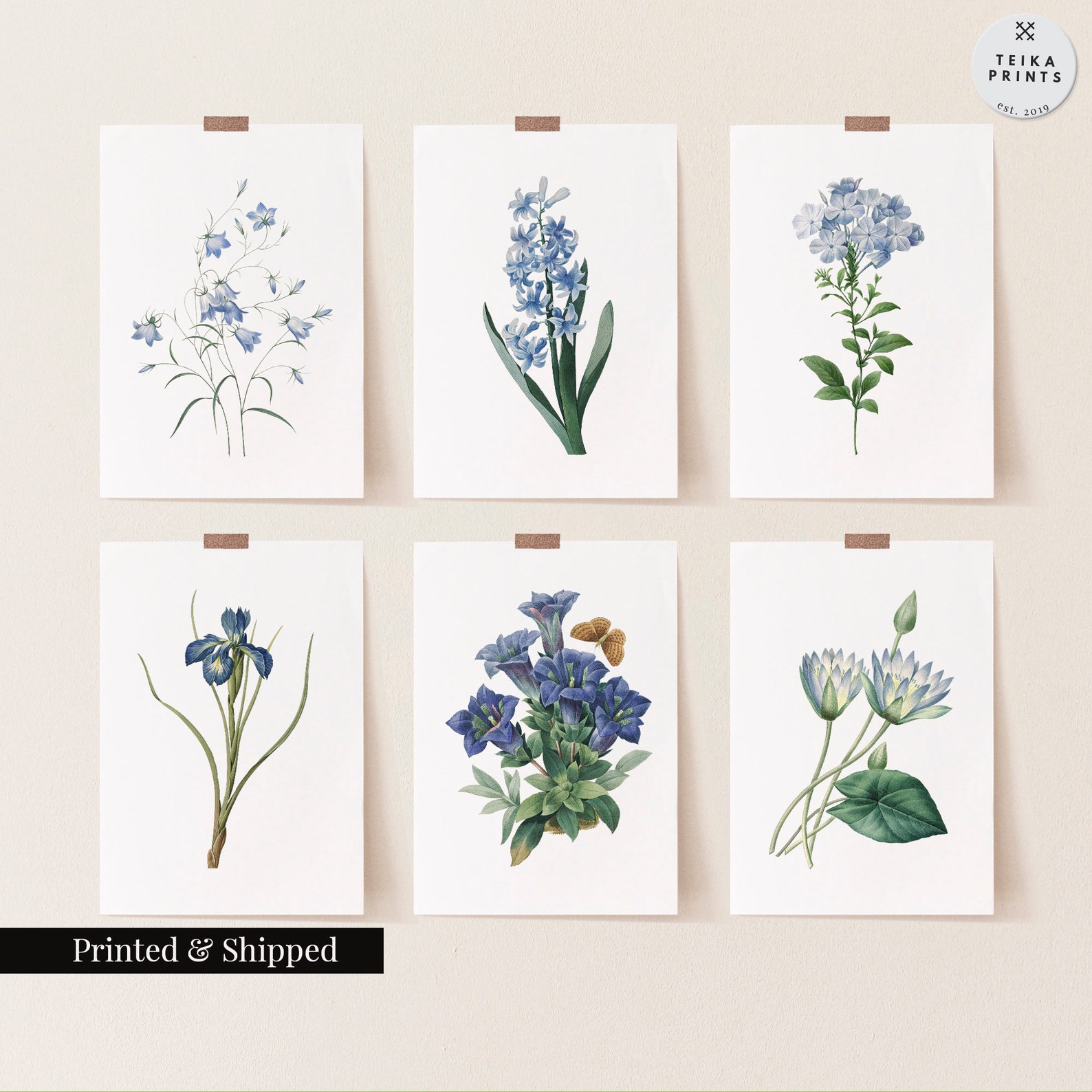 Vintage Blue Flowers Wall Art Prints Set of 6 / Botanical Floral Wall ...