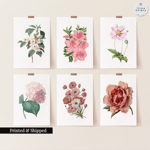 Vintage Pink Flowers Wall Art Prints Set Of 6   Botanical - Etsy