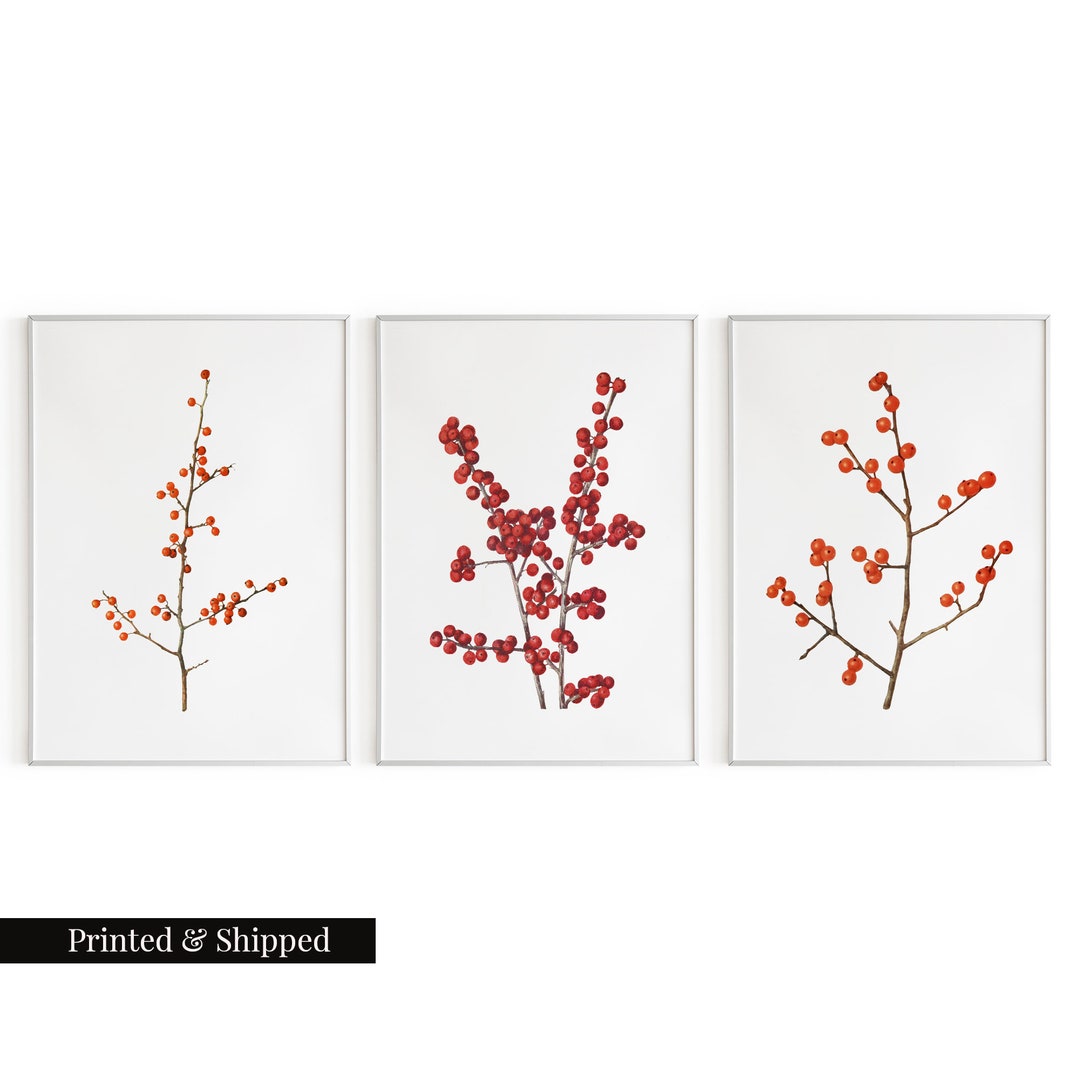 Vintage Winterberry Plant Wall Art Prints Set of 3 / Botanical - Etsy