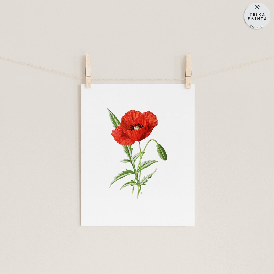 Vintage Poppy Flower Wall Art Prints Set of 3 / Botanical - Etsy