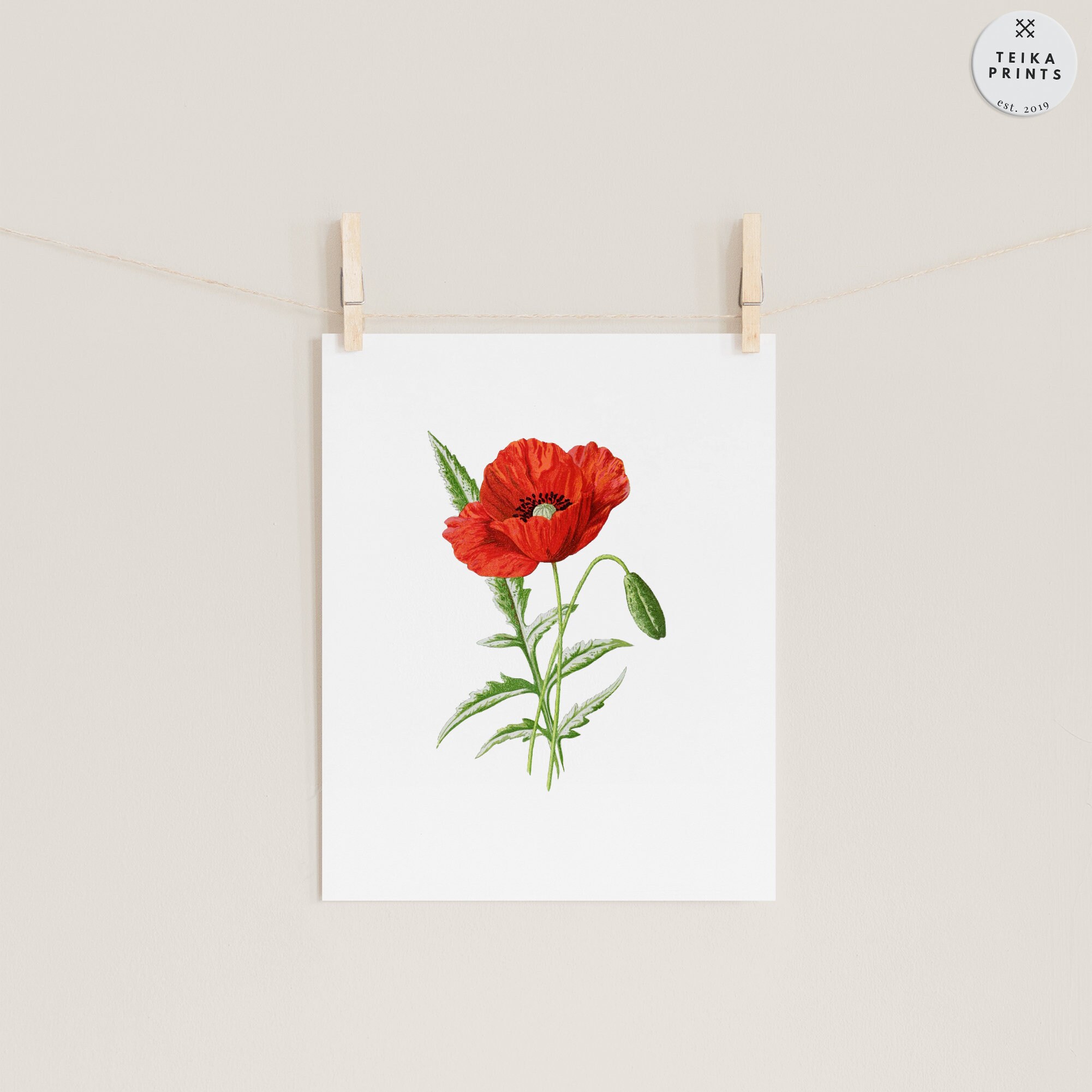 Vintage Poppy Flower Wall Art Prints Set of 3 / Botanical - Etsy