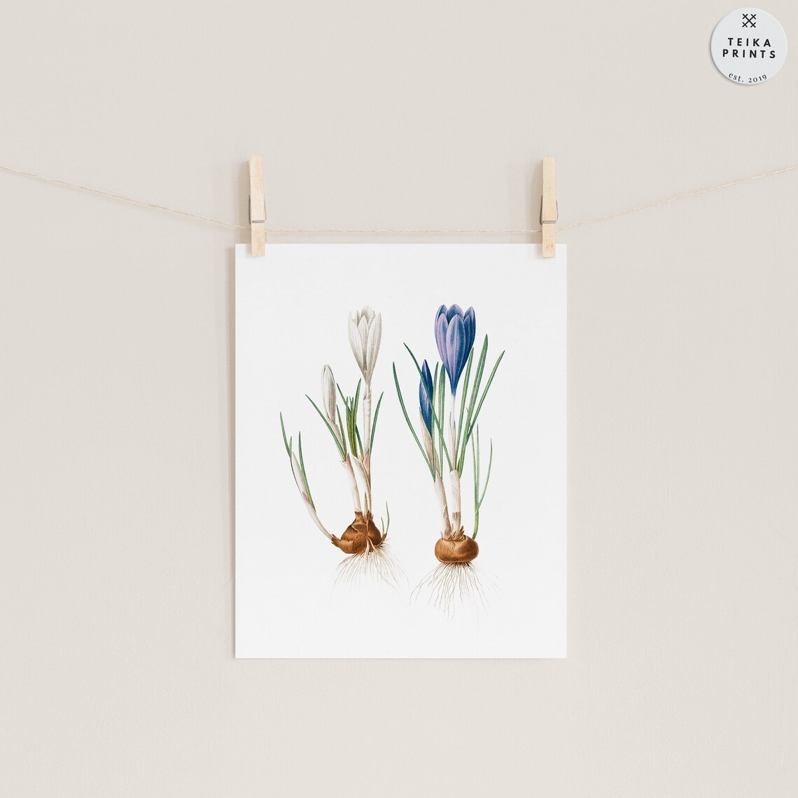 Vintage Crocus Flowers Wall Art Prints Set of 6 / Botanical Floral Wall ...