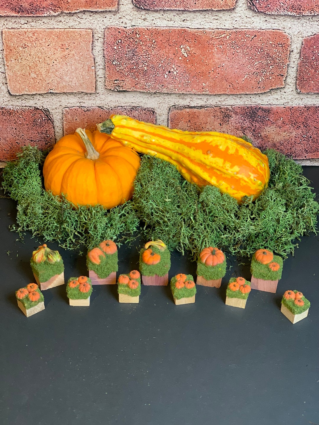 Miniature Pumpkin Art Mini Cedar Cube With Pumpkin and Gourd - Etsy