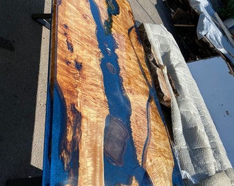 Tulip RAINBOW Poplar - Etsy