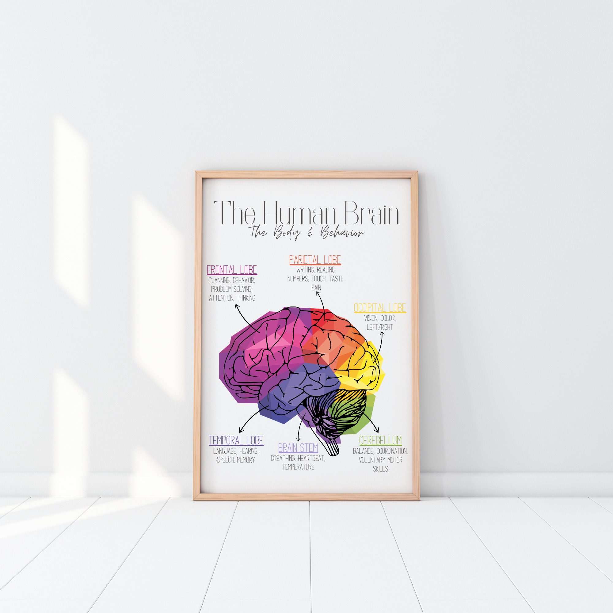 Brain Zones | Mental Health | Trauma | Fight or Flight | Nervous System | Functions | Wall Art ...