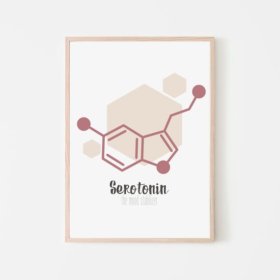 Serotonin Mental Health Art Print Brain Chemicals | Etsy