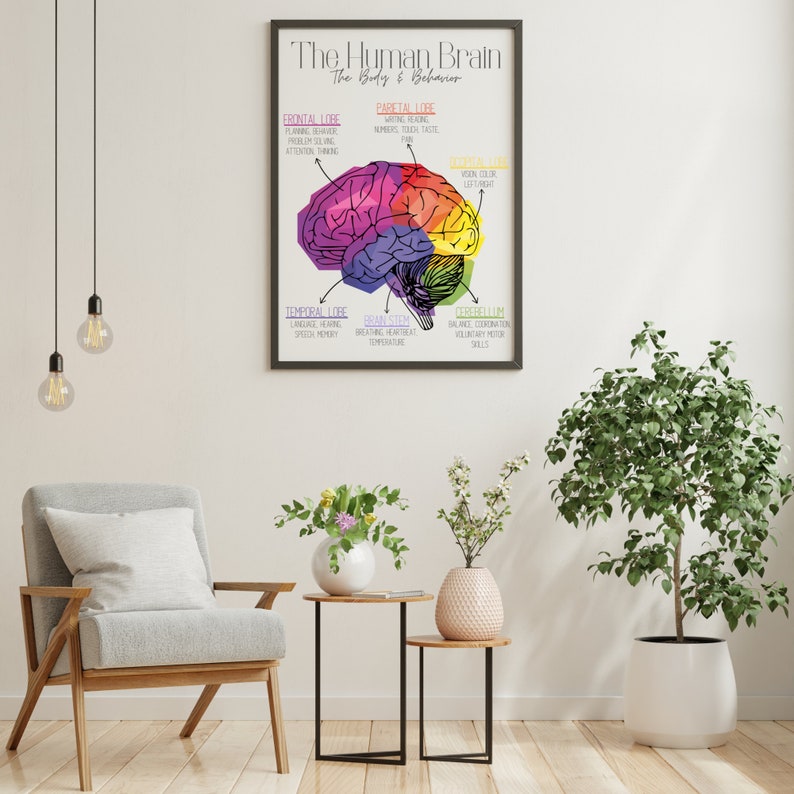 Brain Zones | Mental Health | Trauma | Fight or Flight | Nervous System ...