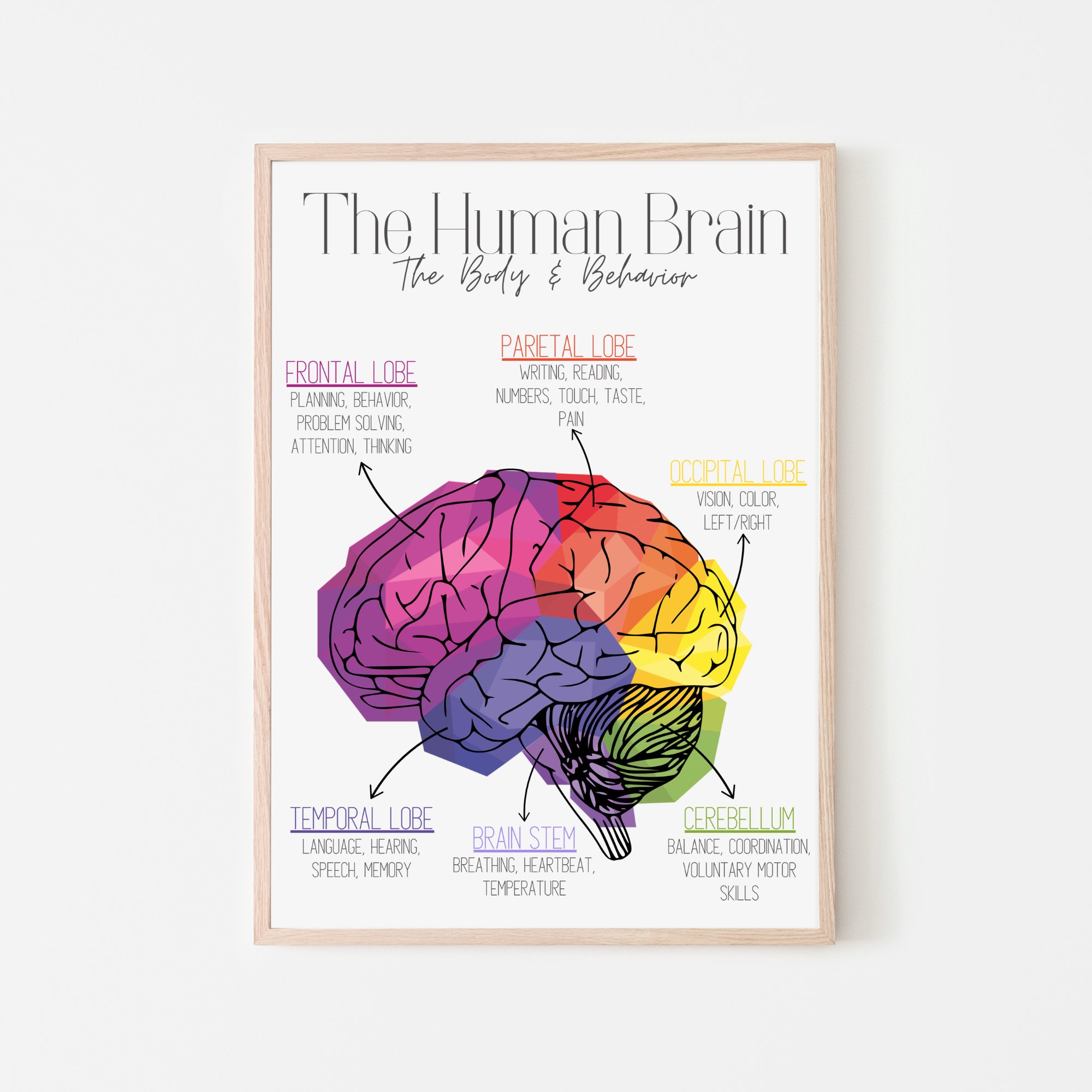 Brain Zones | Mental Health | Trauma | Fight or Flight | Nervous System ...