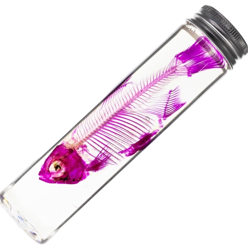 Diaphonization - Etsy