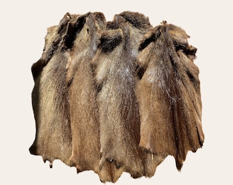 Nutria Fur - Etsy