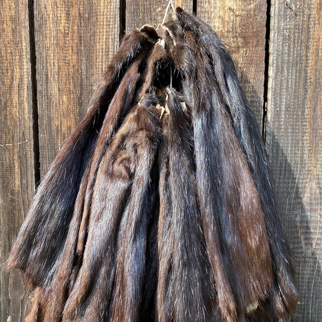 Real Nutria Fur, Coypu Hide, Coypus Pelt, Taxidermy, Fur Sawing, - Etsy