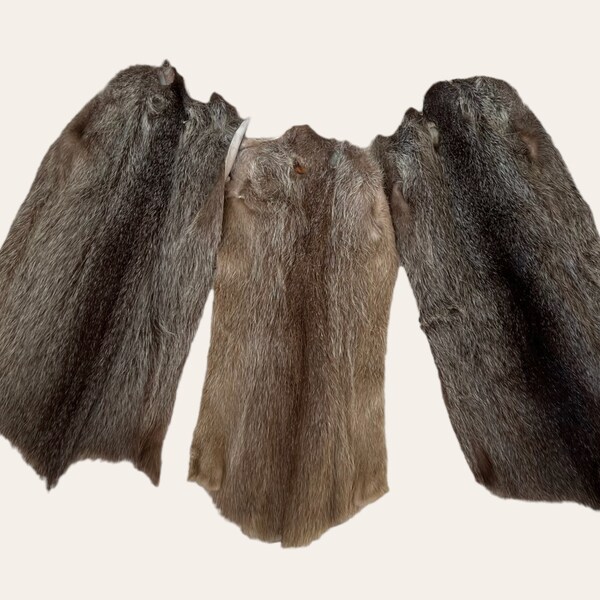 Nutria Fur - Etsy