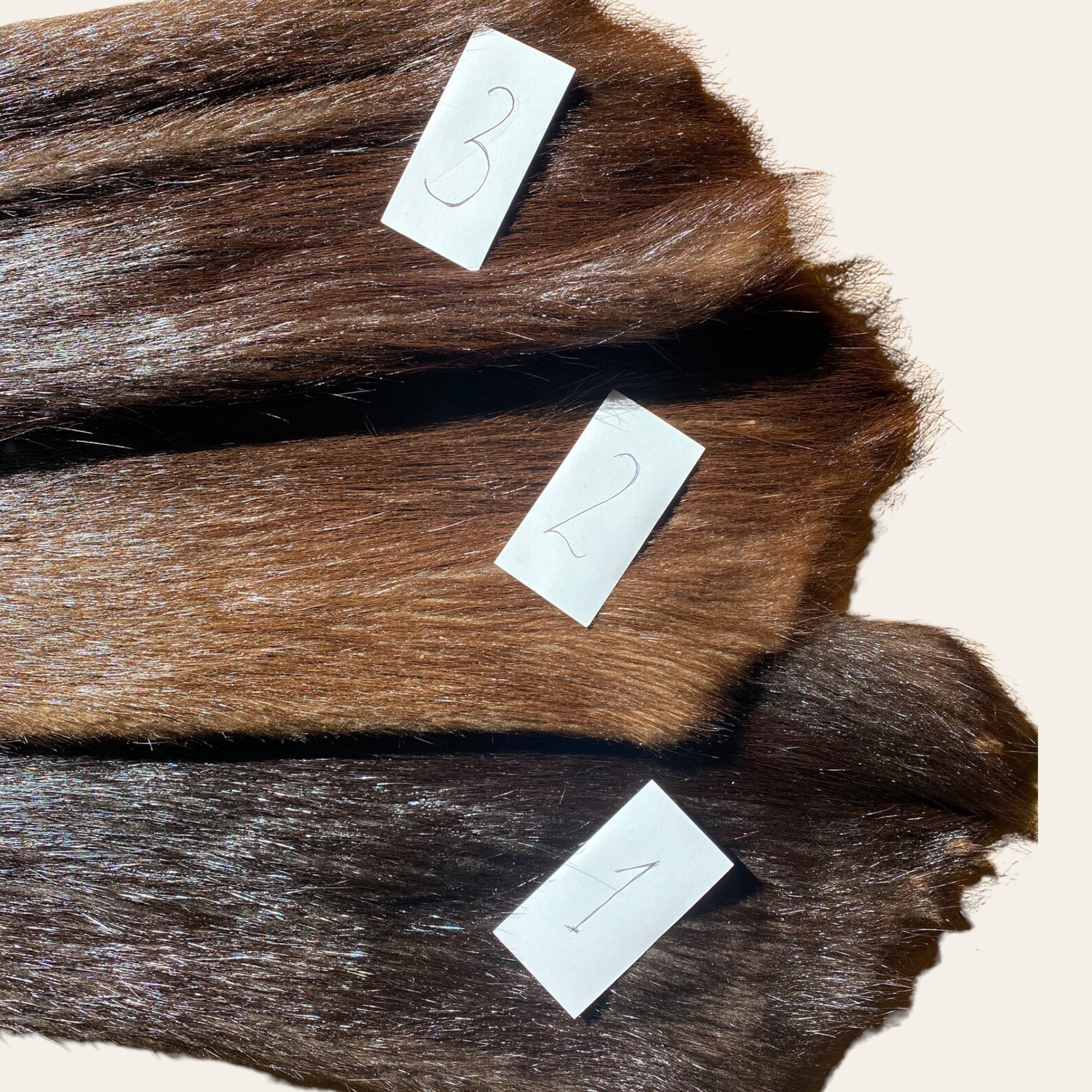 Real Nutria Fur Coypu Hide Coypus Pelt Taxidermy Fur - Etsy