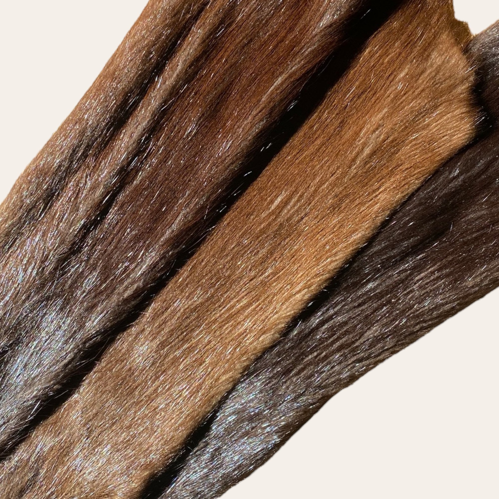 Real Nutria Fur, SET 5 Pieces! Coypu Hide, Coypus Pelt, Taxidermy, Fur ...