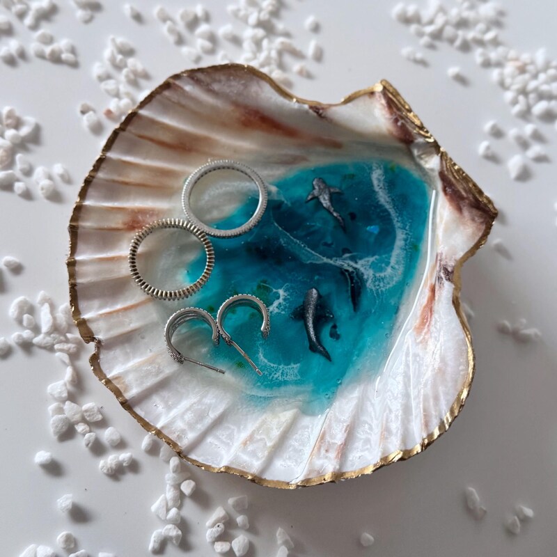 Seashell Ring Holder - Etsy