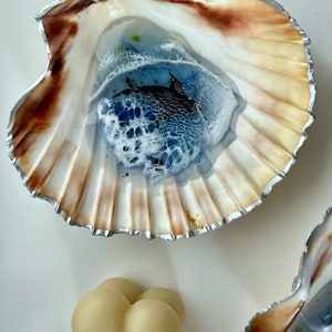 Scallop Clam Shell Mini Ocean Resin Trinket, Resin Jewellery Dish Beach ...