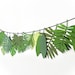 Tropical Leaves Banner | Tropical Leaves Garland | Jungle | Rainforest ...