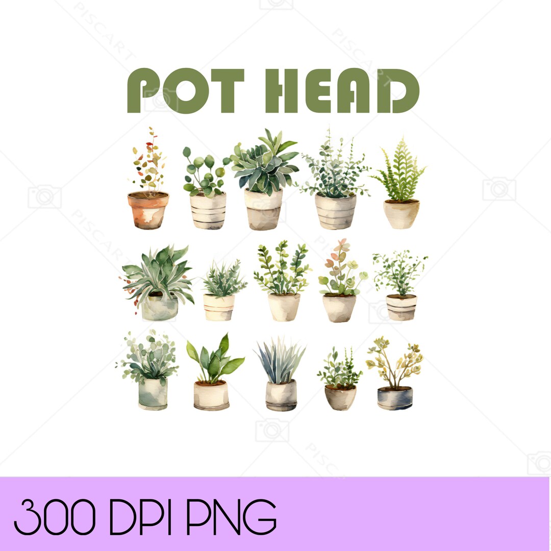 Pot Head Plant PNG - Etsy