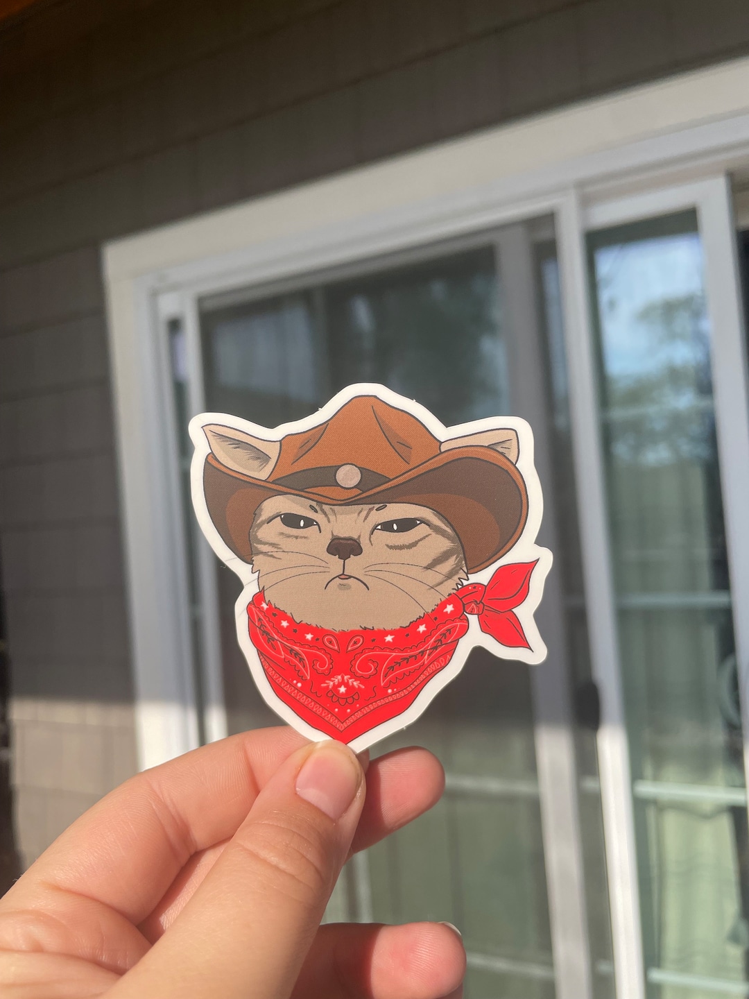 Cowboy Cat Sticker | Matte Sticker | Weatherproof and Scratch Resistant ...