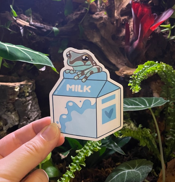 Amazon Milk Frog Sticker - Etsy