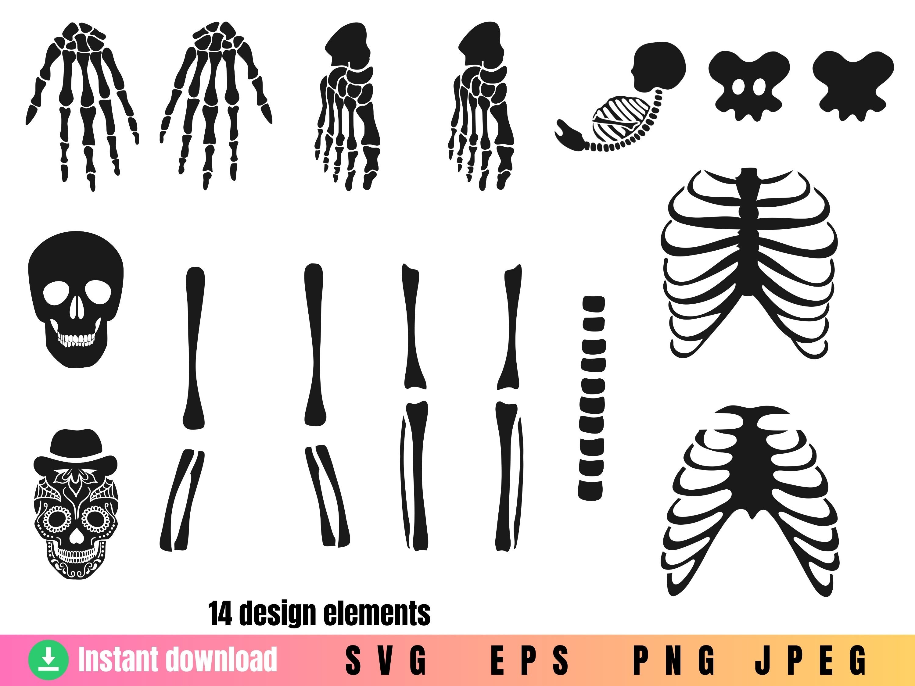 Skeleton Kit SVG, Skeleton Parts SVG, Skeleton PNG, Skeleton Parts Png ...