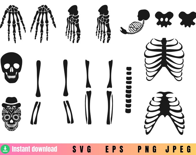 Skeleton Kit SVG, Skeleton Parts SVG, Skeleton PNG, Skeleton Parts Png ...