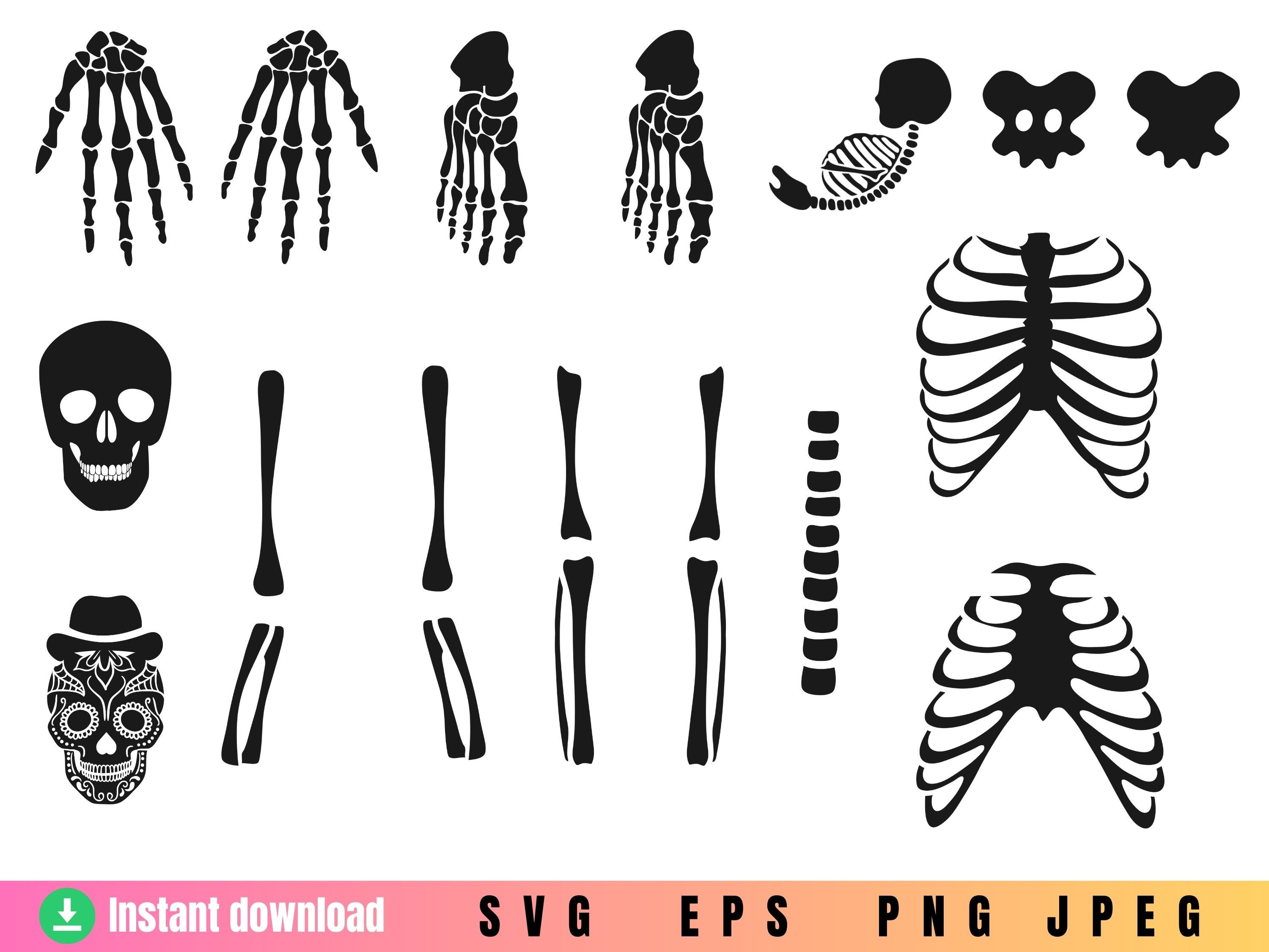 Skeleton Kit SVG, Skeleton Parts SVG, Skeleton PNG, Skeleton Parts Png ...