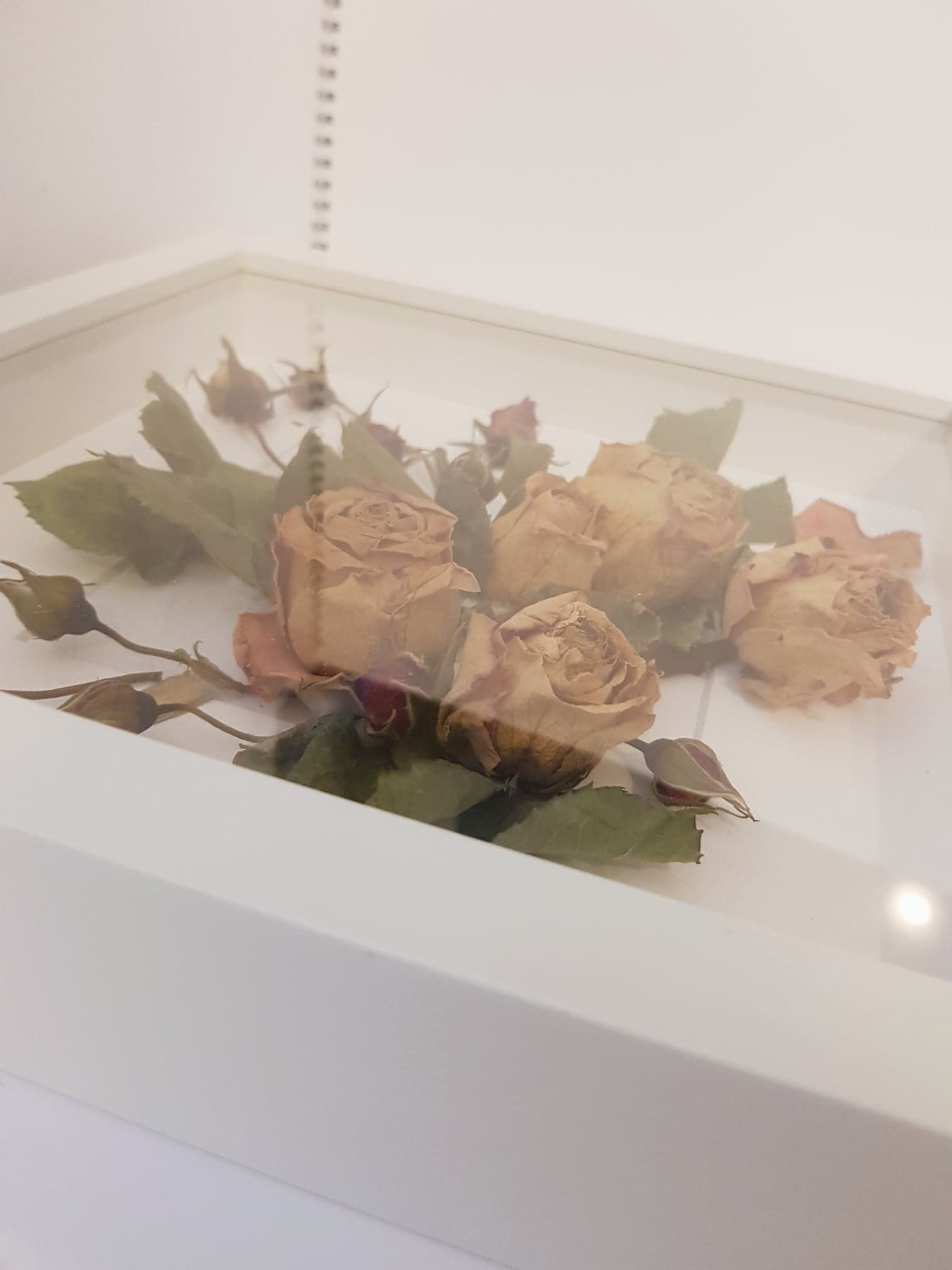 Autumn Theme 3D Dried Roses Frame 0001 - Etsy