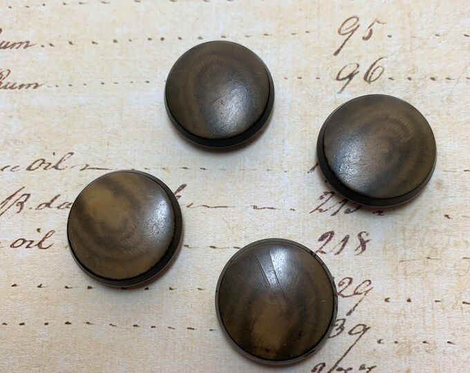 Set Tagua Nut Mocha Color Buttons With Chocolate Brown Trim, Vegetable ...