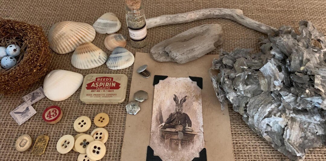 Multi Item Curiosities, Instant Curiosities Collection, Found Objects ...