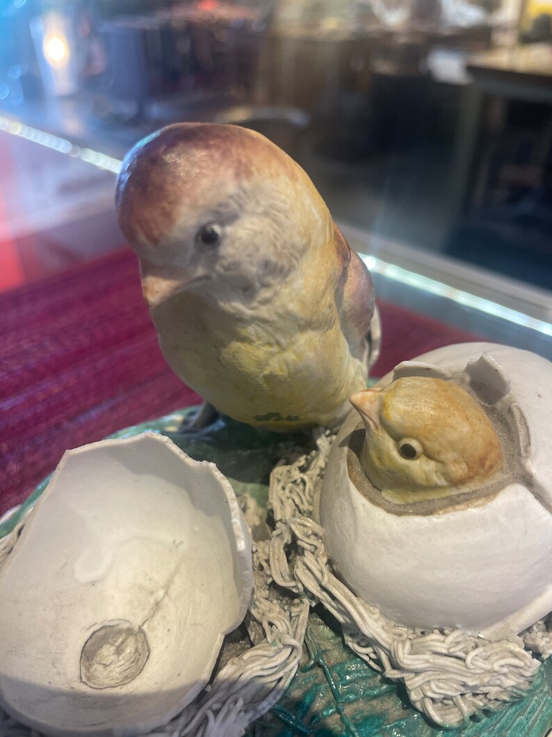 Antique Staffordshire Pottery Chicks Hatching From Eggs on Nest England - Etsy