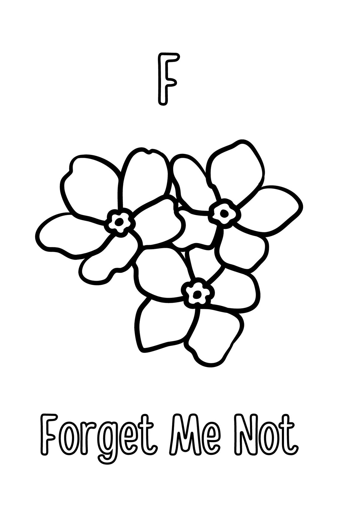 Color A Flower, A to Z - Etsy