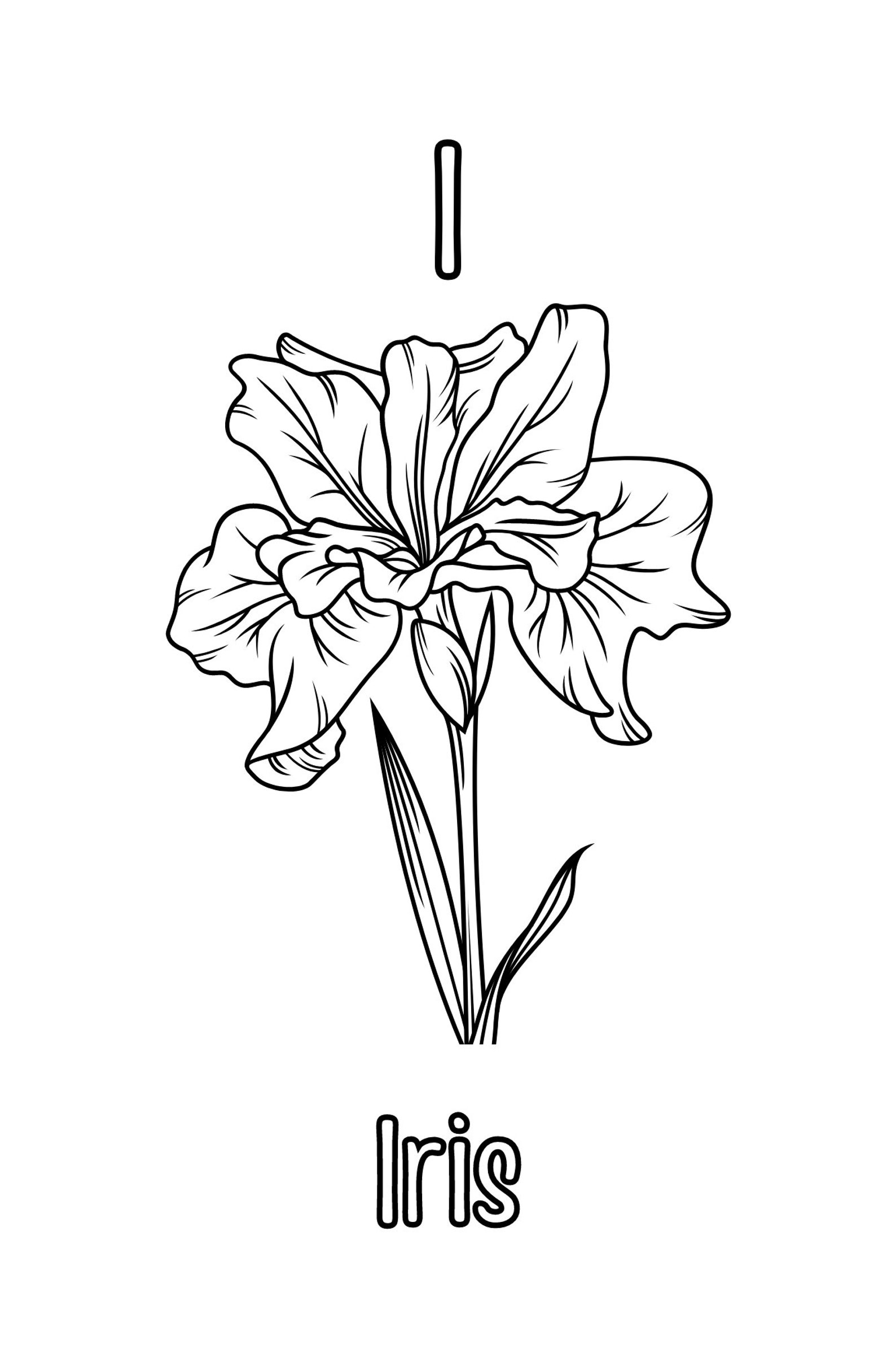 Color A Flower, A to Z - Etsy