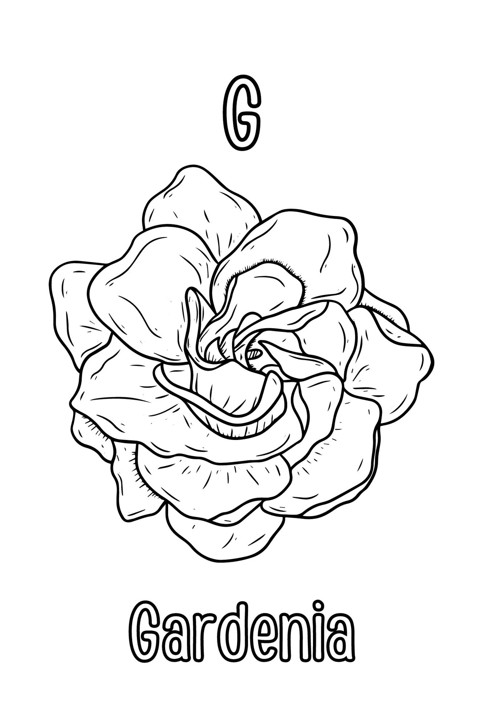 Color A Flower, A to Z - Etsy