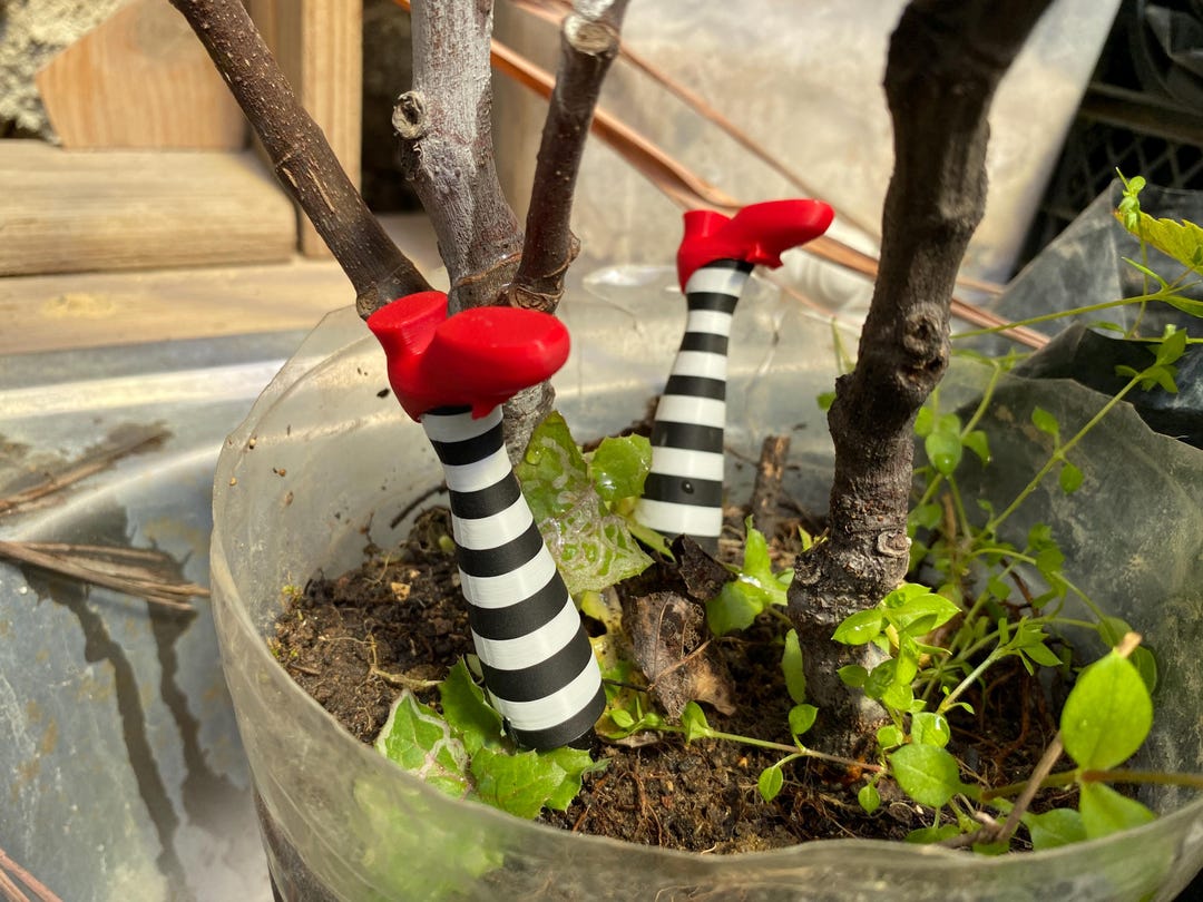 Wizard of Oz Wicked Witch Legs Plant Decor – Funny Planter Insert ...
