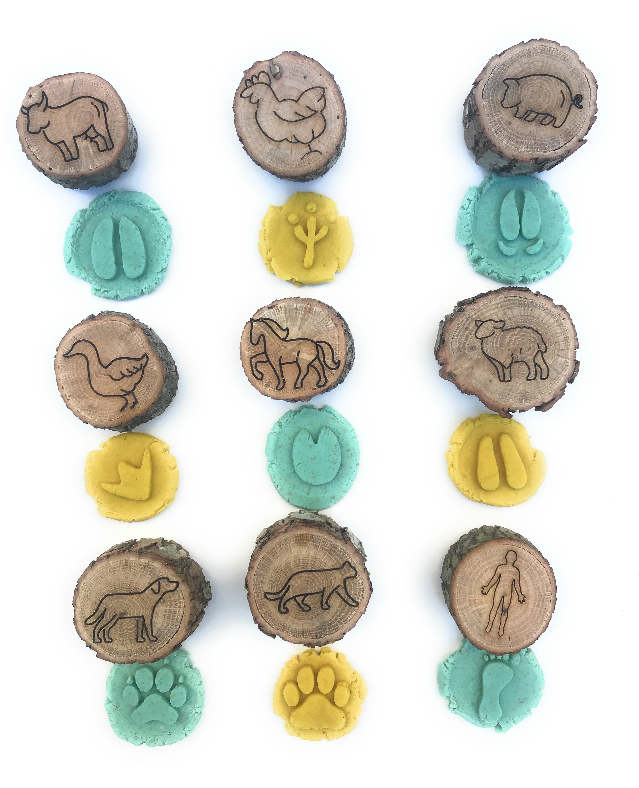 Animal Tracks Playdough Stampers Animal Track Stamps 9 - Etsy Canada