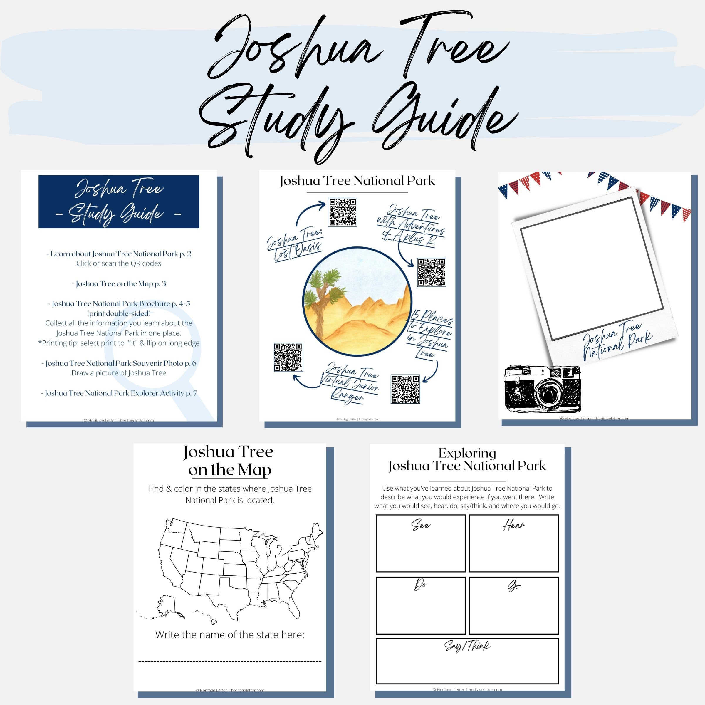 Joshua Tree National Park for Kids Travel Activity for Kids Homeschool ...