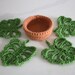 Monstera Leaf Coasters, Monstera Leaf Coaster Set, Crochet Monstera ...