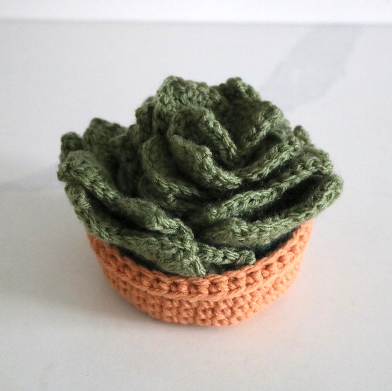 Succulent Crochet Coaster Set, Crochet Plant Coasters, Crochet Pot ...