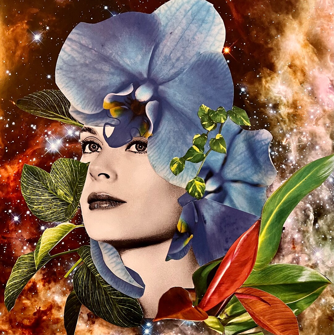 Orchid, Original Hand-cut Collage - Etsy