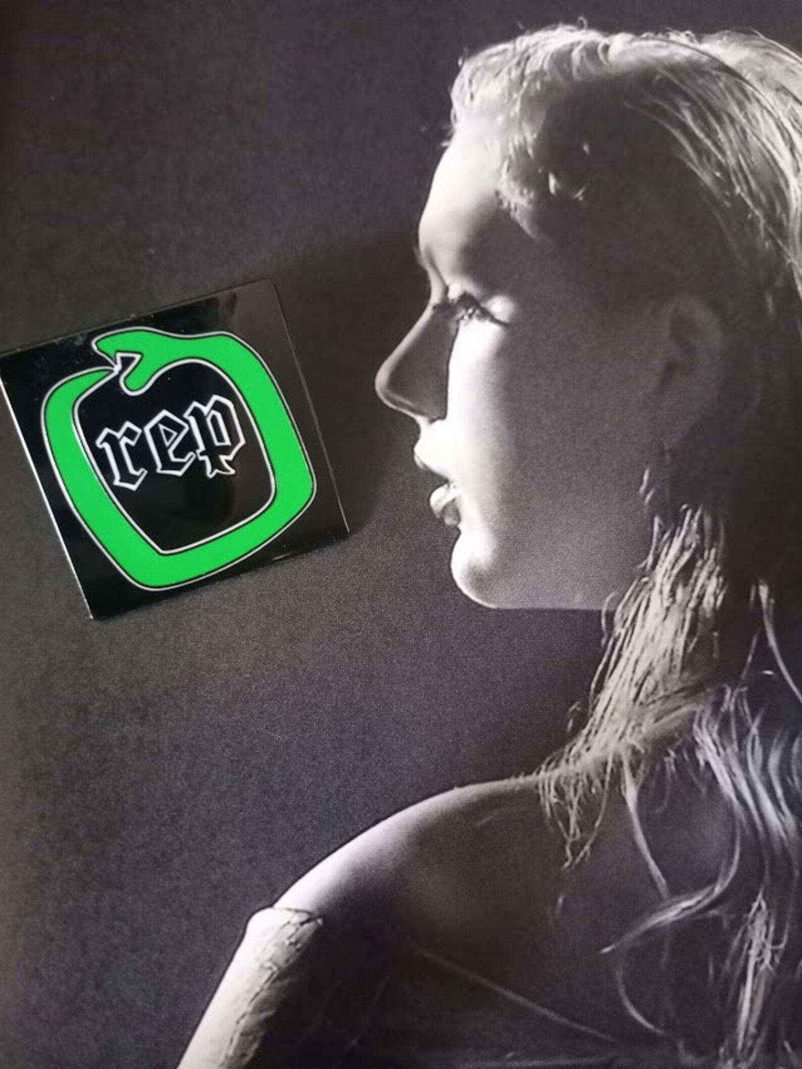 Reputation Snake Karyn Hard Enamel Pin - Etsy