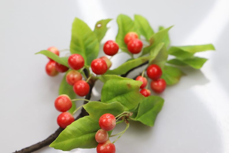 Realistic Cherry Branch Handmade From Cold Porcelain Clay Lifelike ...